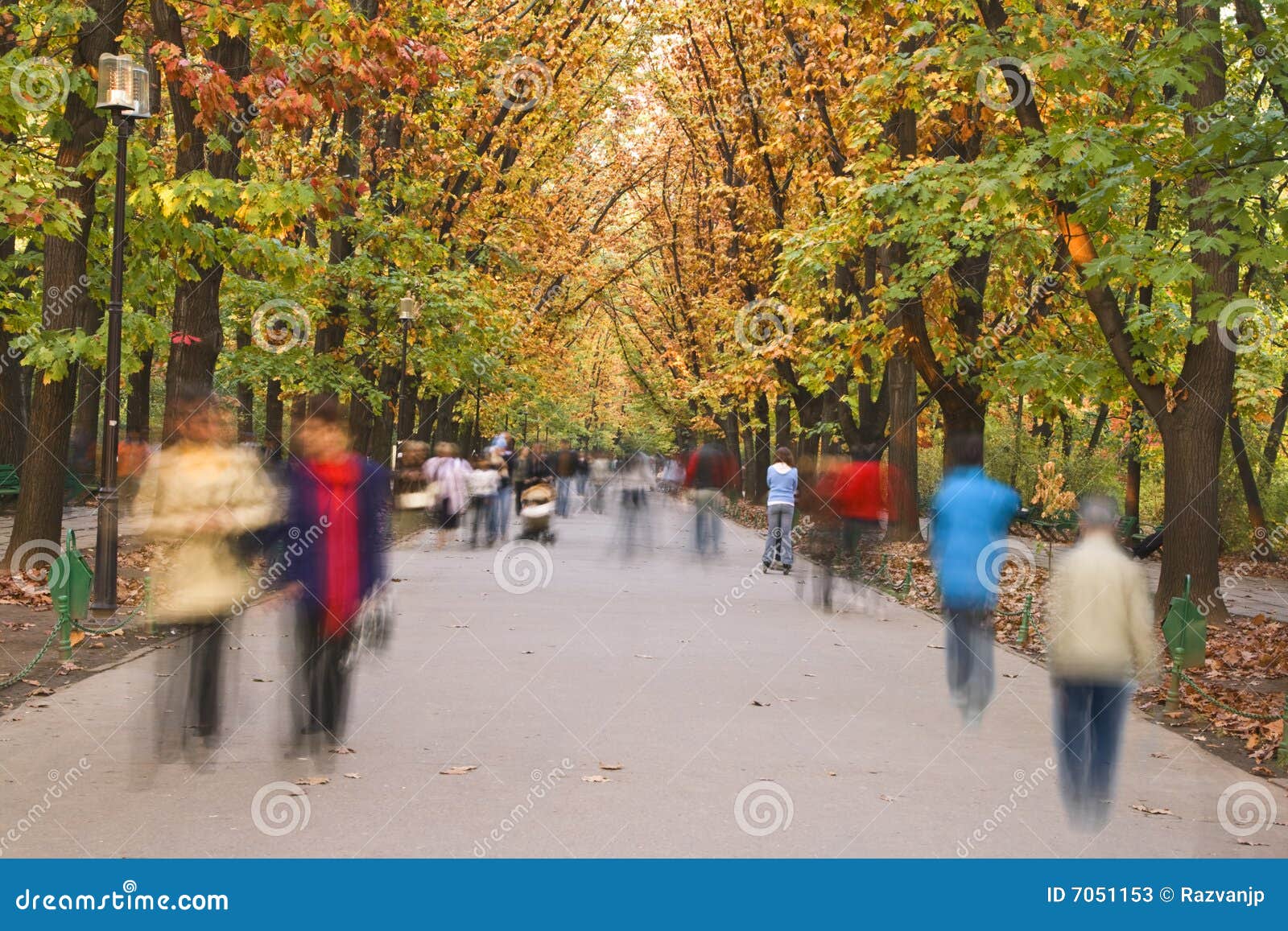 Autumn walk stock image. Image of healthy, fall, afternoon - 7051153