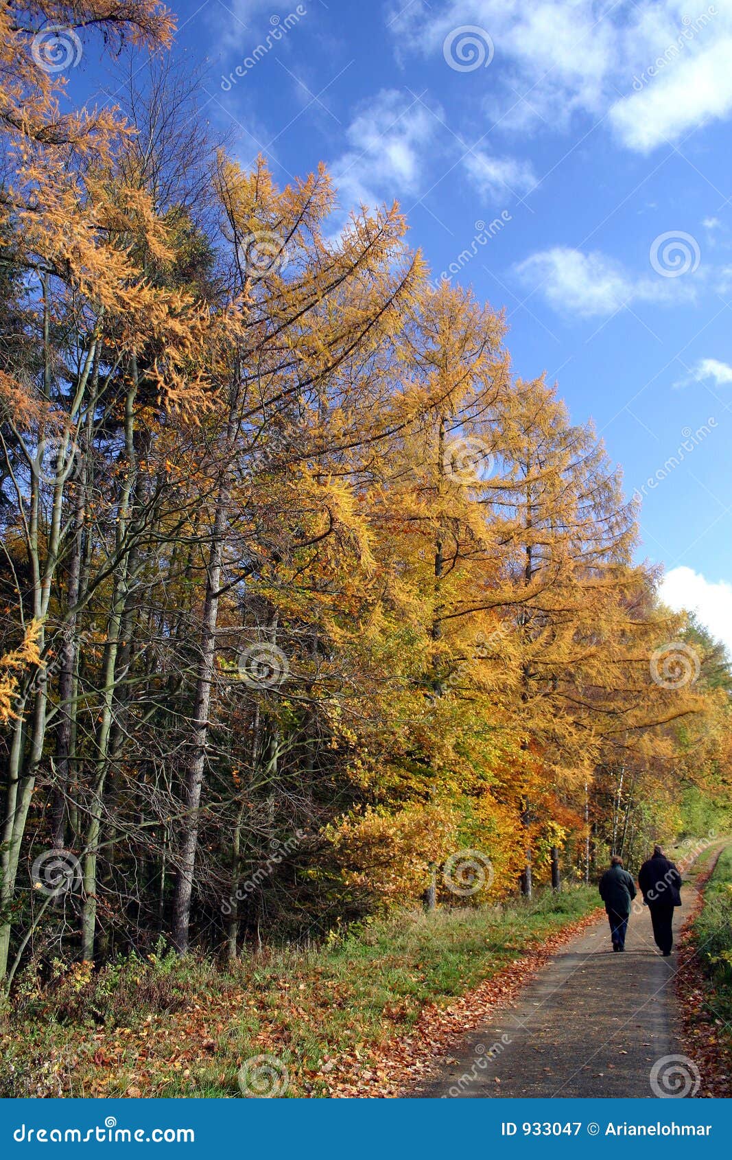 Autumn walk stock image. Image of seasoncolour, clouds - 933047