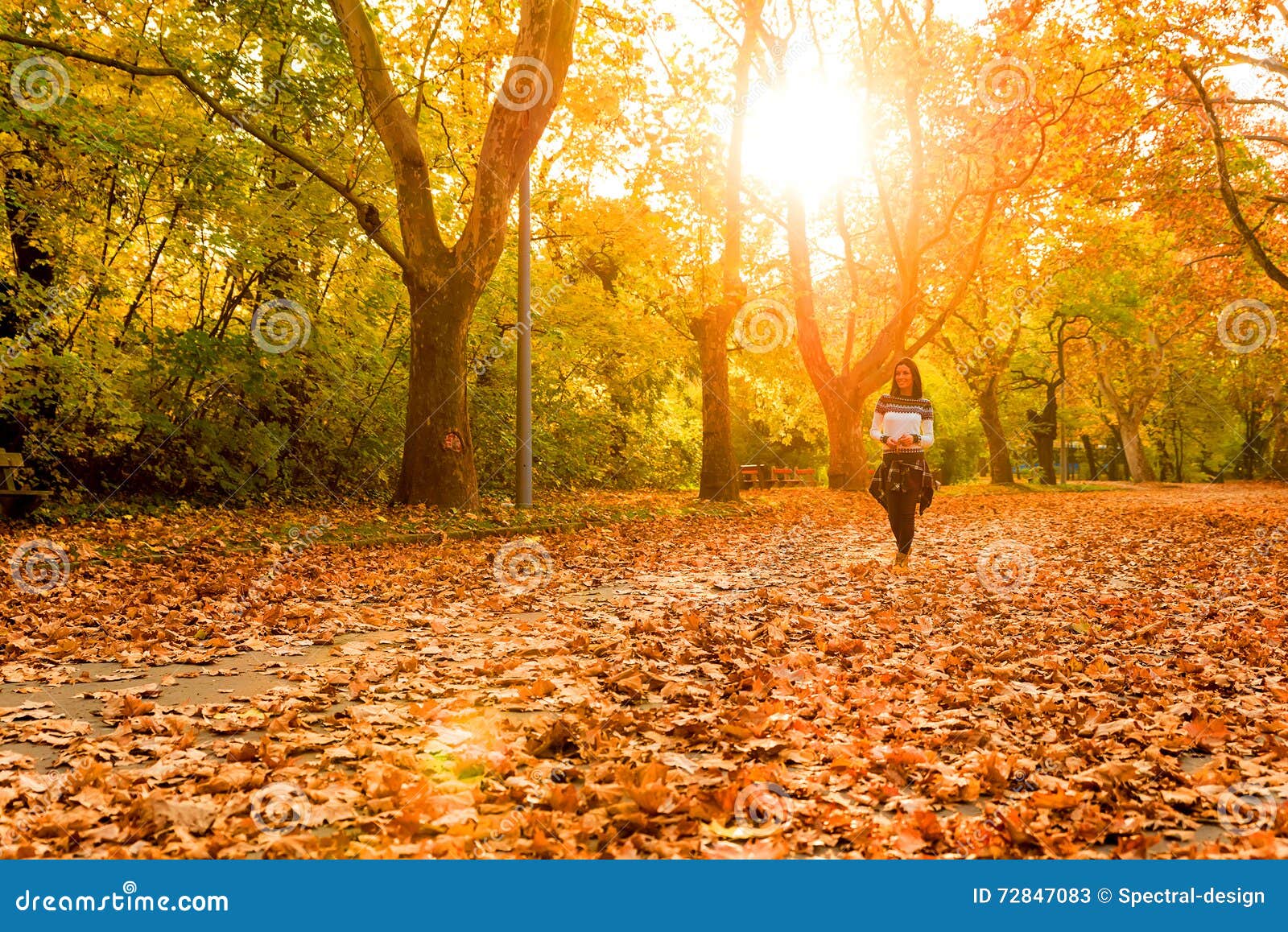 Autumn walk in the Forest stock image. Image of walk - 72847083