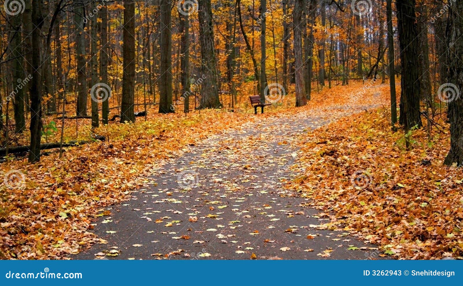 Autumn Walk Way stock image. Image of tall, time, color - 3262943
