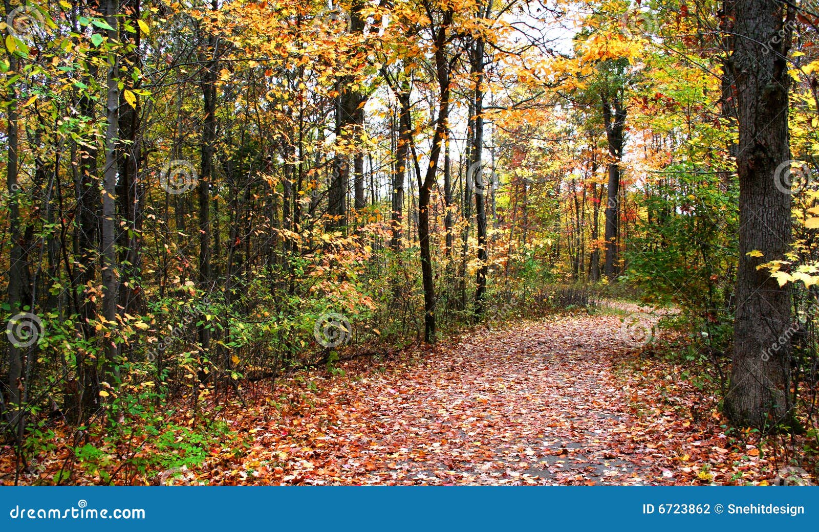 Autumn Walk Way stock photo. Image of september, fall - 6723862