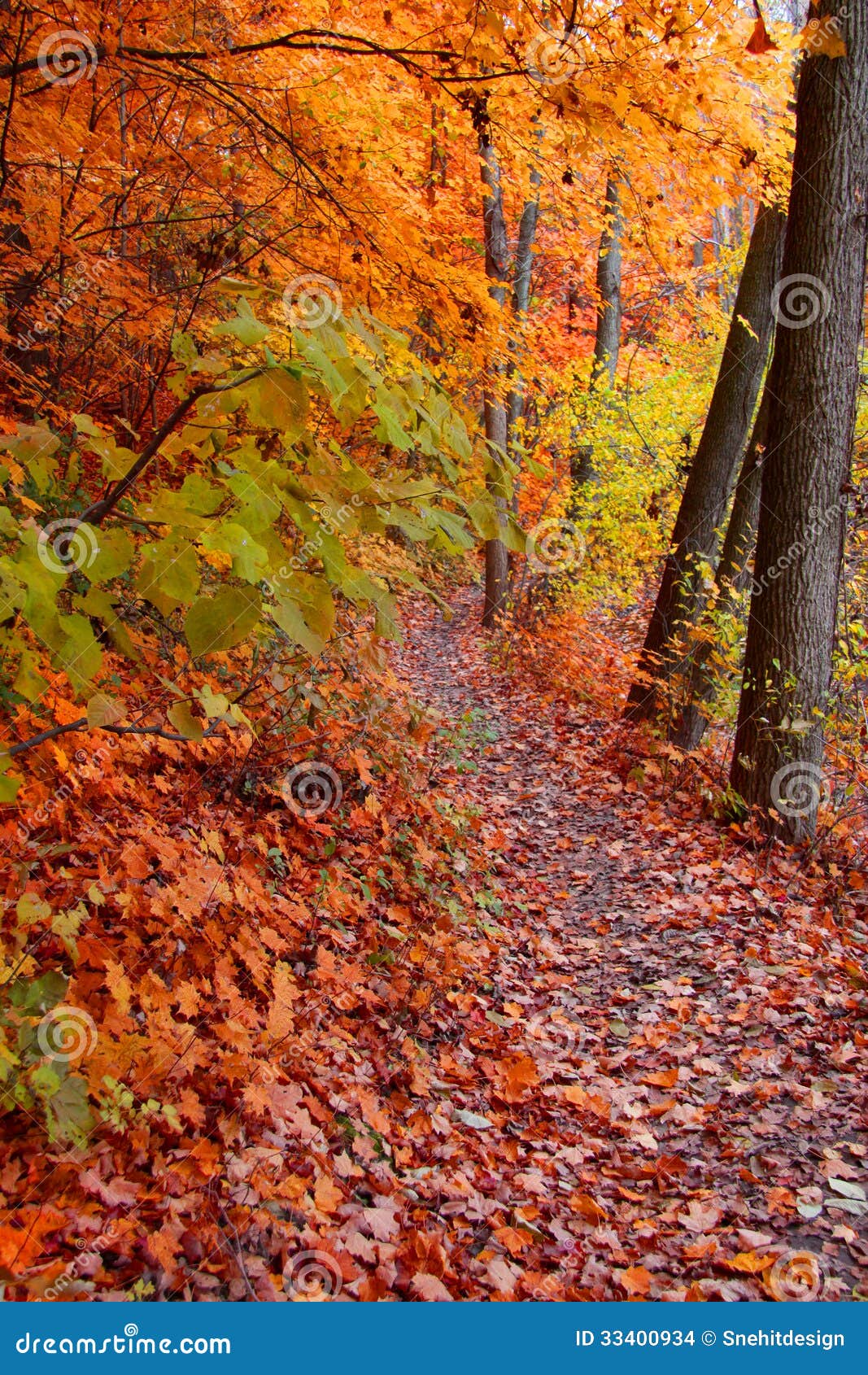 Autumn walking trail stock photo. Image of october, green - 33400934
