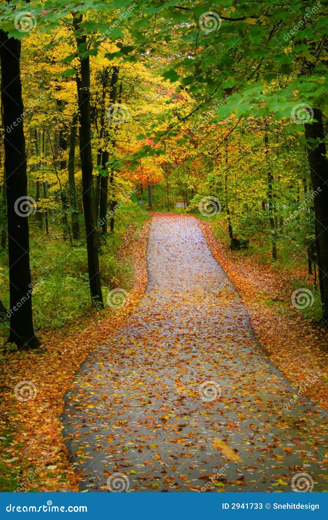 Autumn Walkway stock image. Image of aspens, bloom, live - 2941733