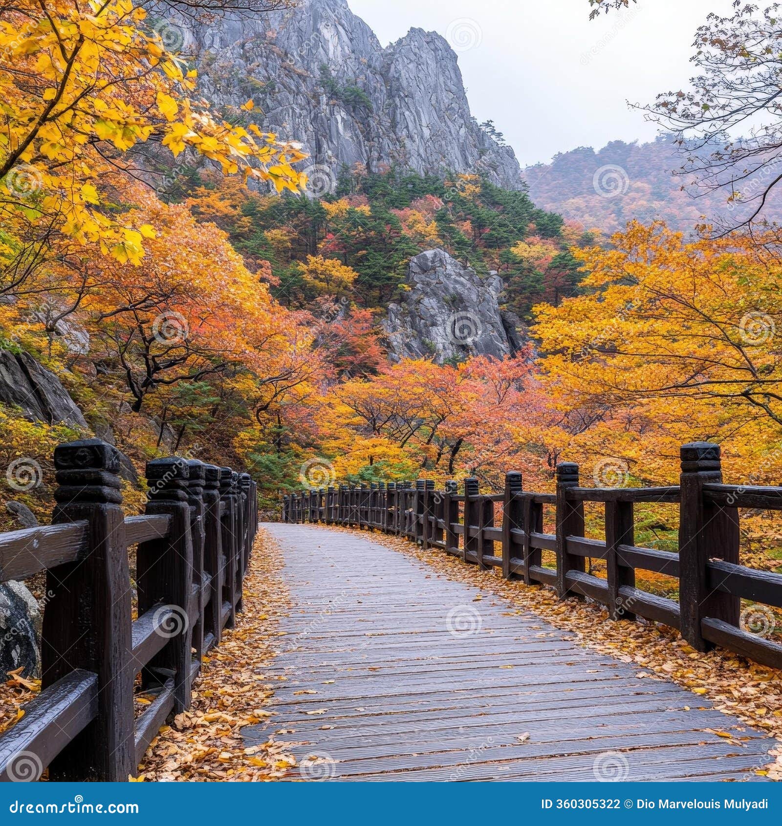 Autumn Walkway in Mountains Stock Photo - Image of park, walkway: 360305322