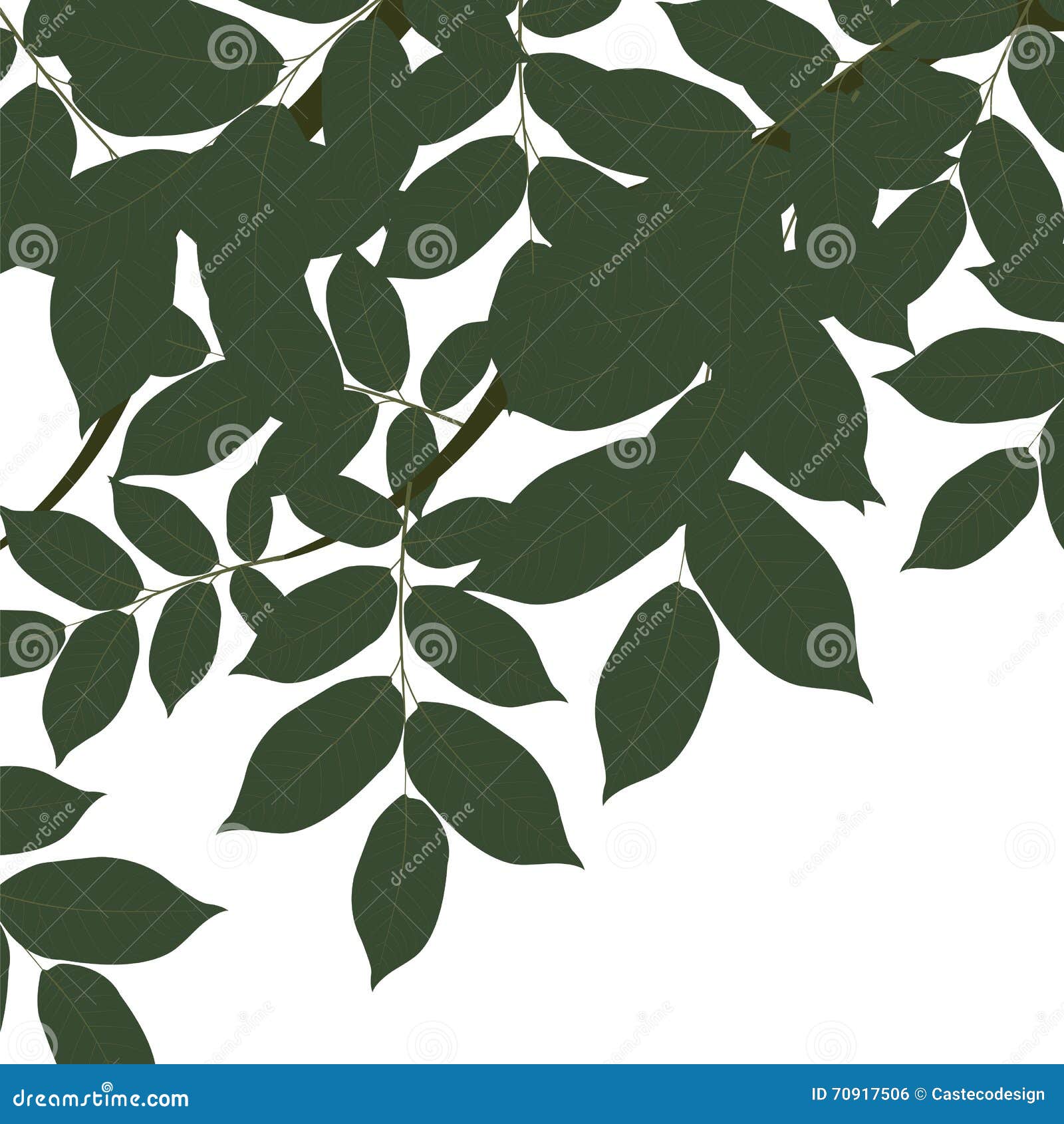 Autumn walnut leaves stock vector. Illustration of autumn - 70917506