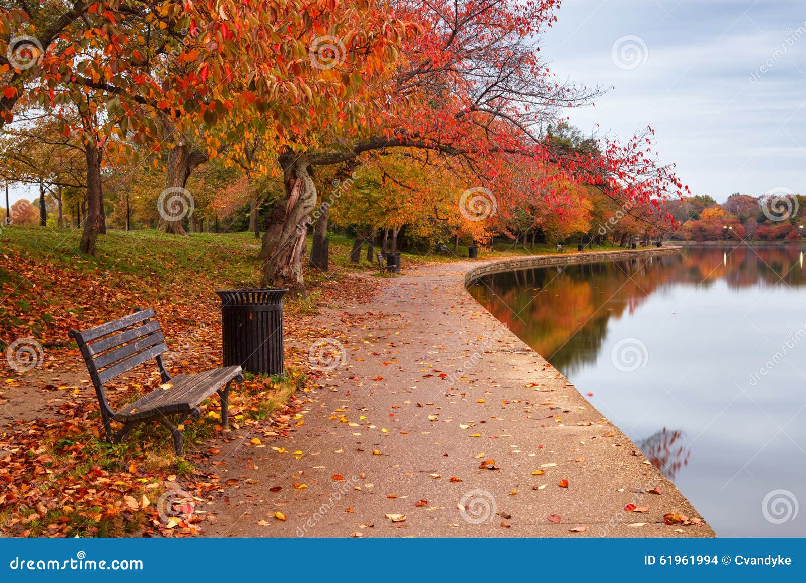Tidal Basin At Dawn In Washington DC, During The Cherry Blossom ...