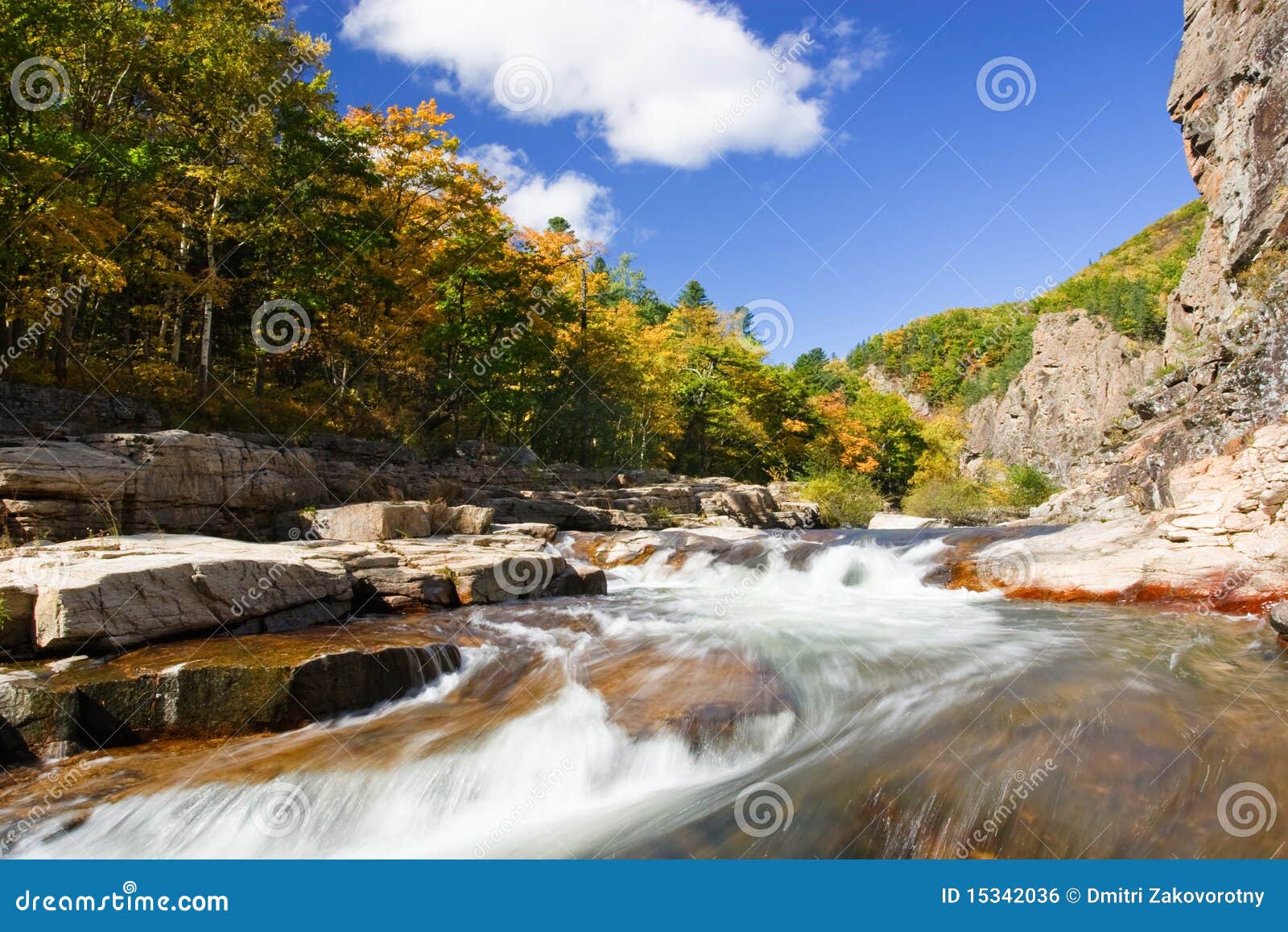 Autumn water stock photo. Image of fall, rays, design - 15342036