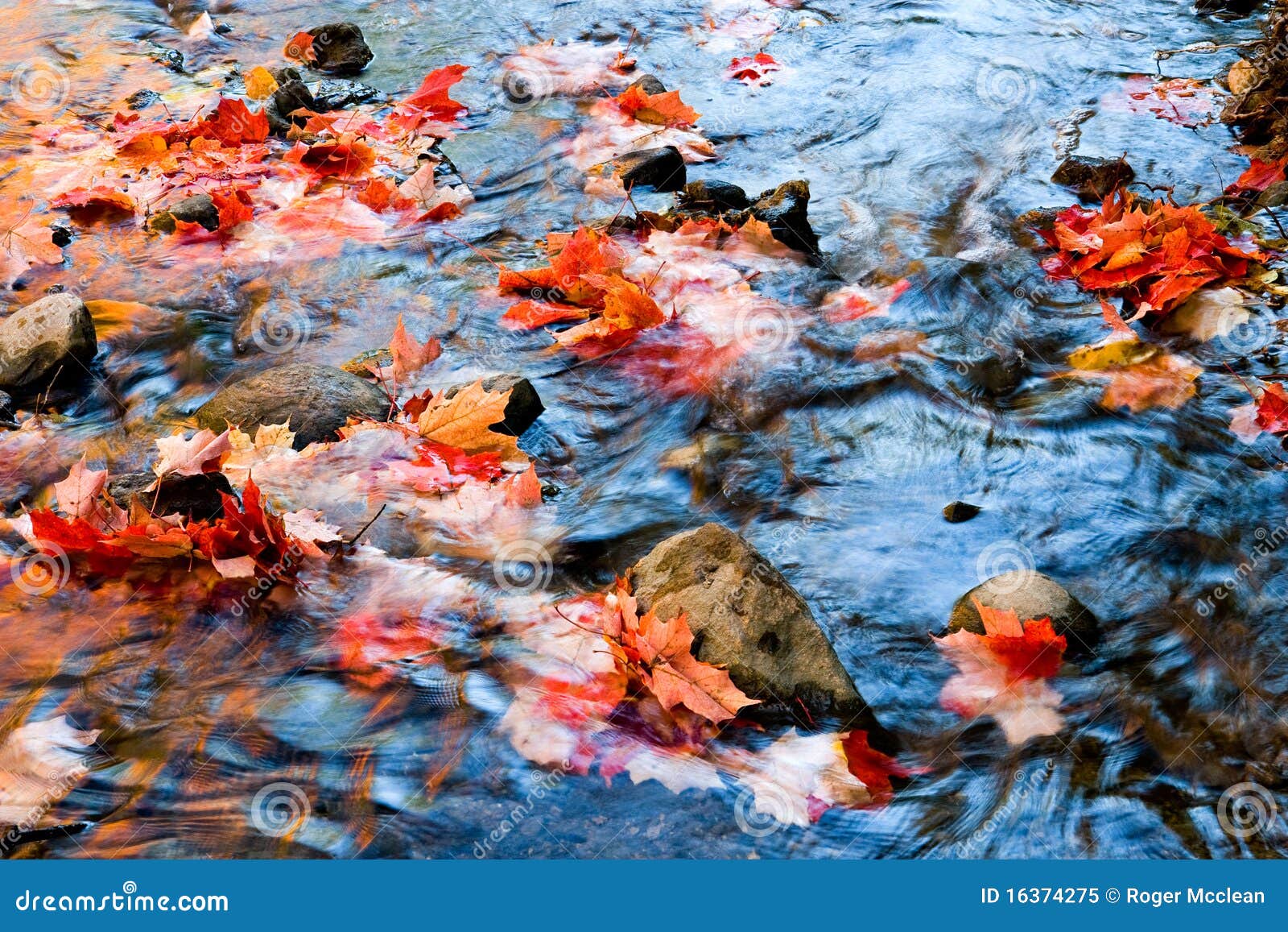 Autumn by water stock image. Image of golden, beauty - 16374275