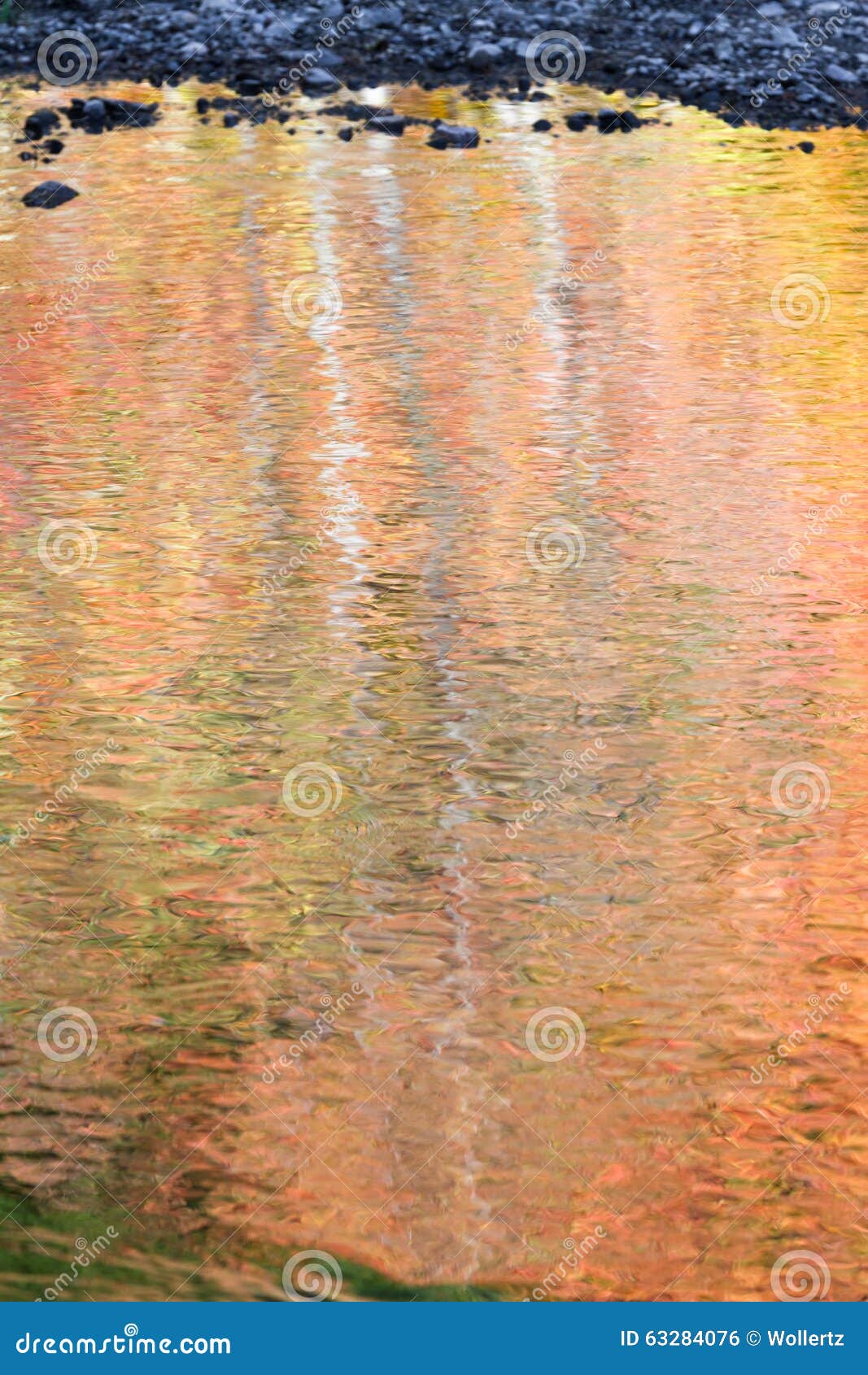 Autumn in the water stock photo. Image of scenic, gold - 63284076
