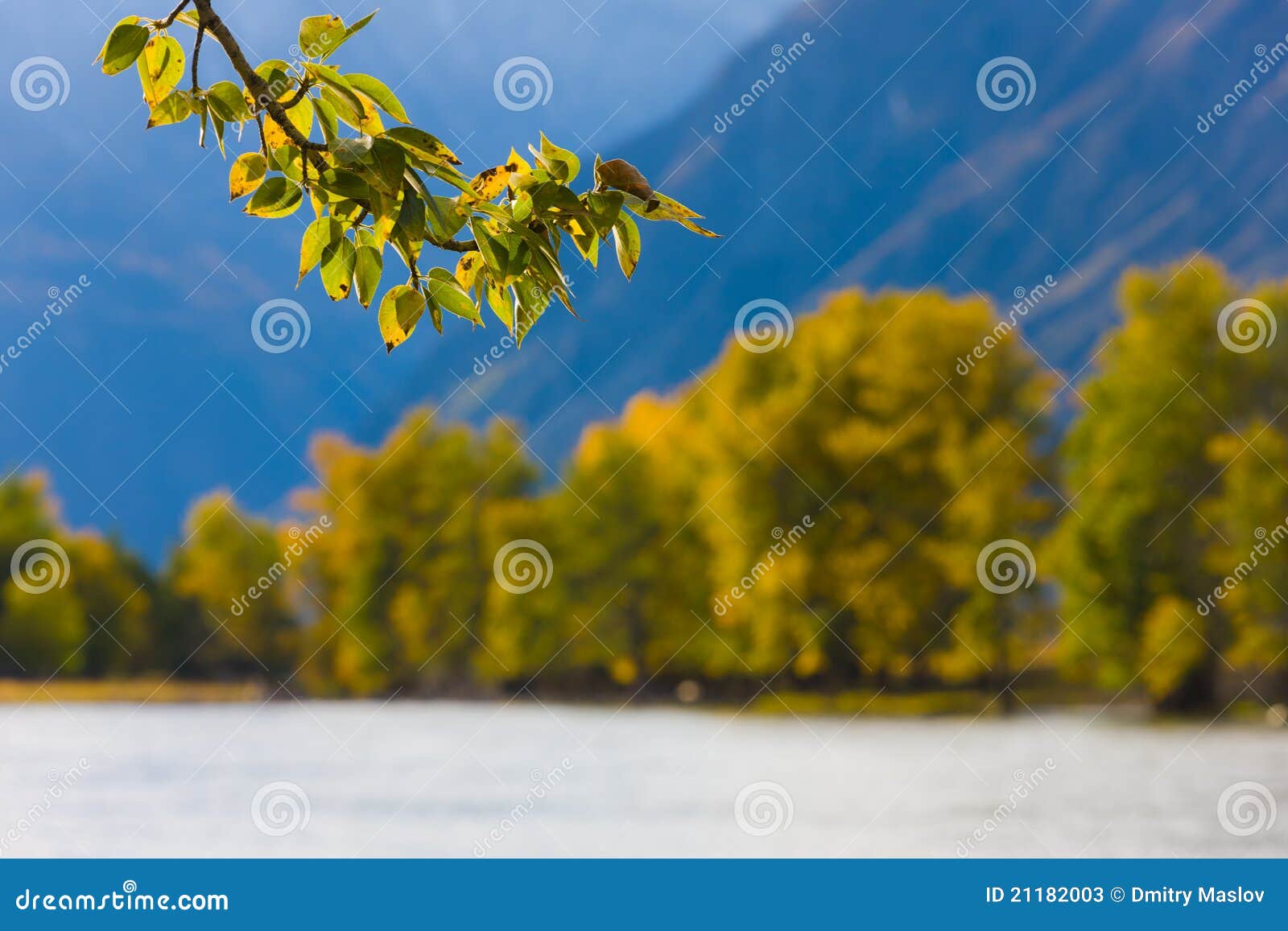 Autumn water color stock image. Image of seasonal, vibrant - 21182003