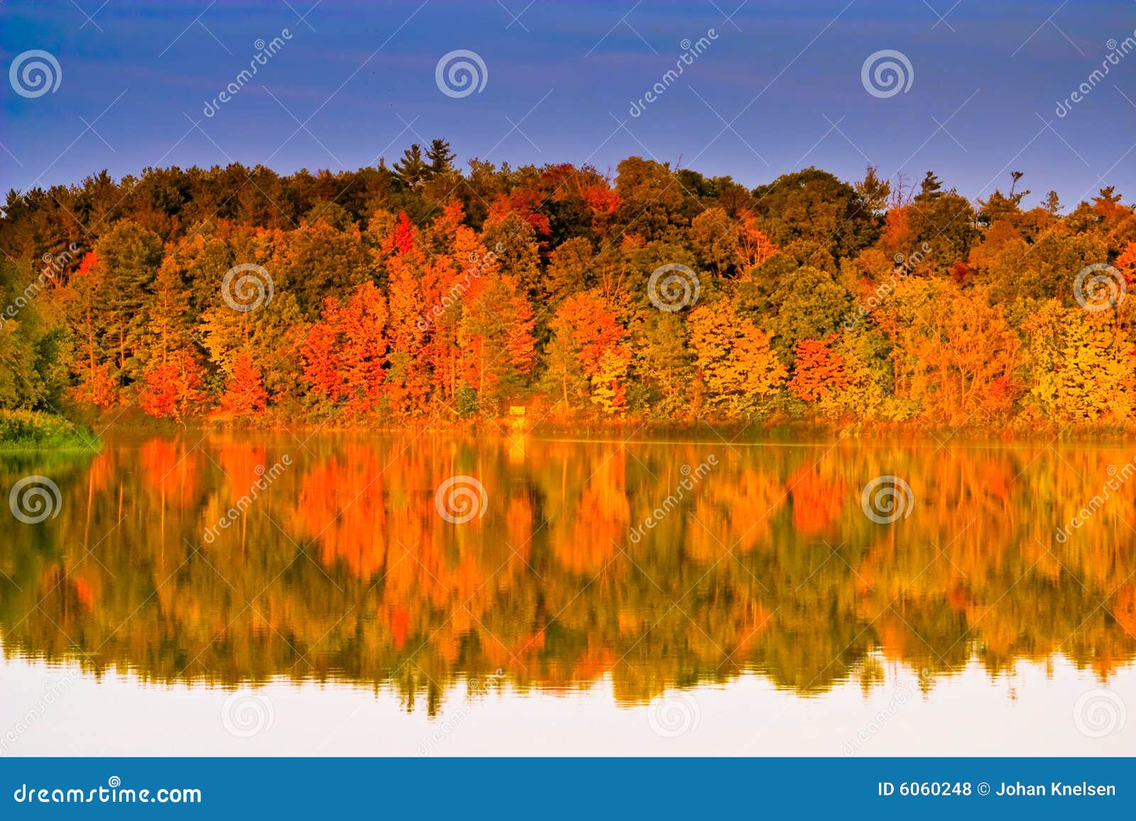Autumn Water Scene stock photo. Image of golden, autumn - 6060248