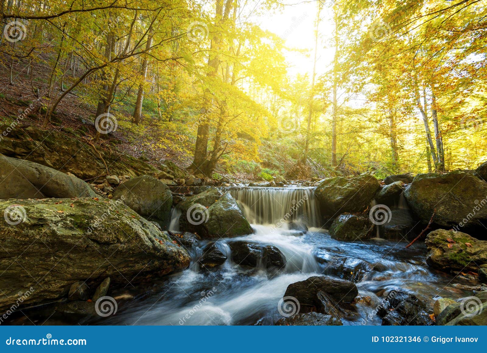Autumn waterfall in forest stock photo. Image of park - 102321346