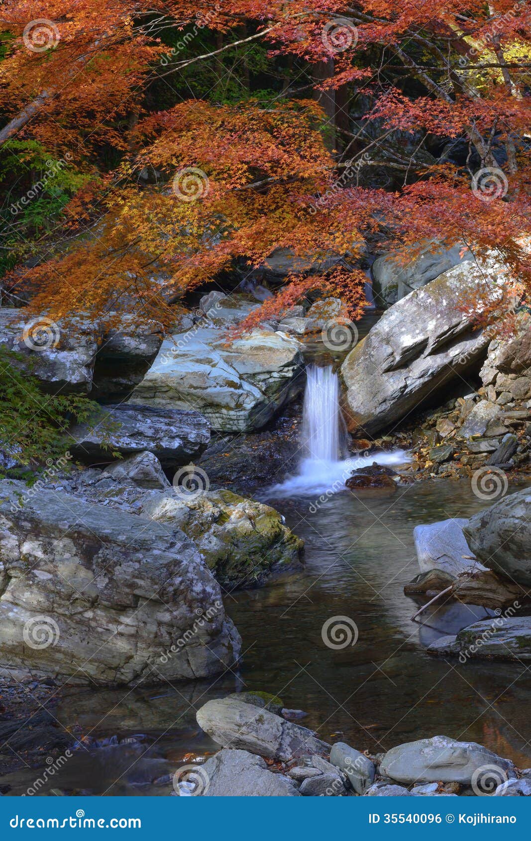 Autumn Waterfall stock photo. Image of leaf, green, scenic - 35540096