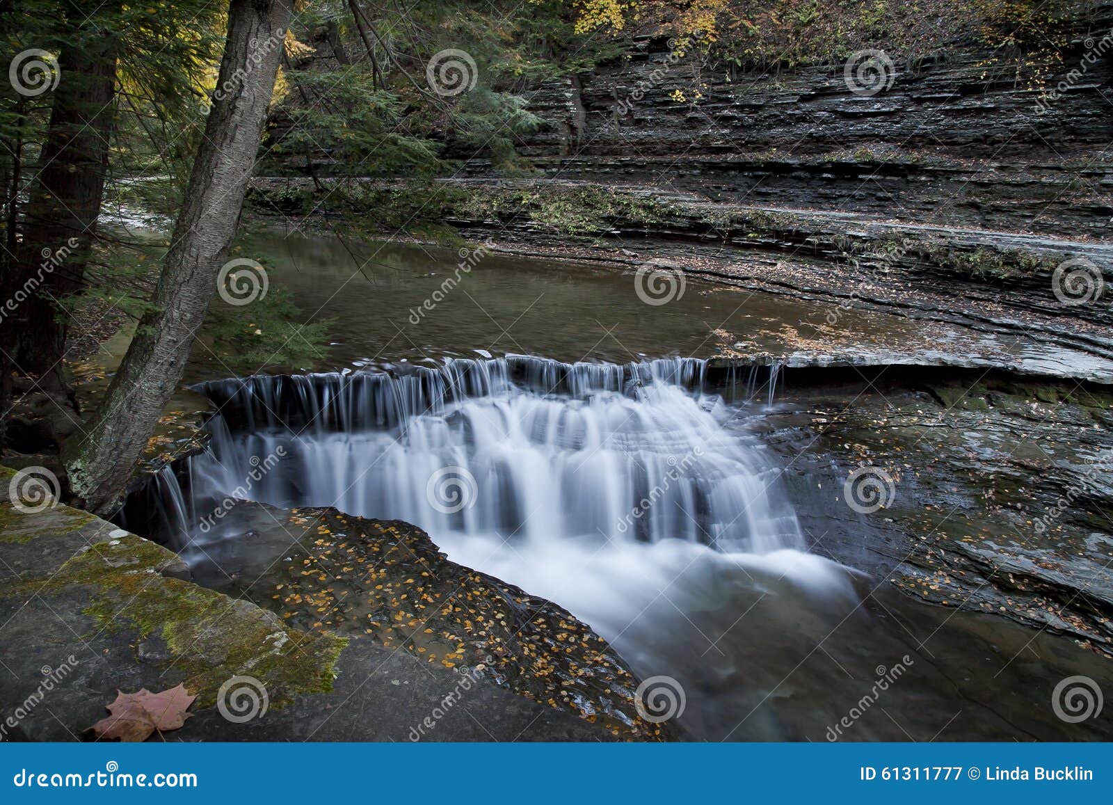 Autumn Waterfall at Stony Brook Stock Image - Image of water, state ...