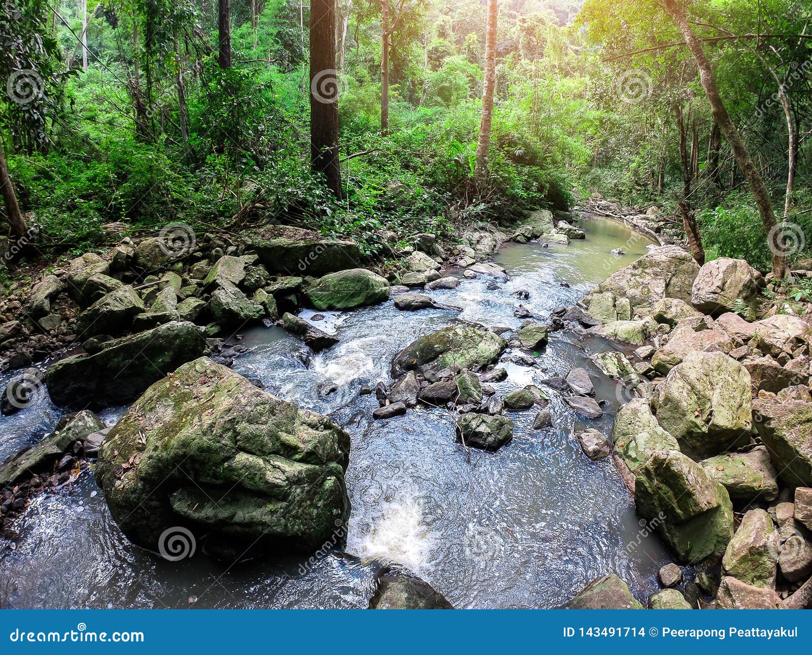 Autumn Waterfall Stream Scene Stock Photo - Image of stream, outdoors ...
