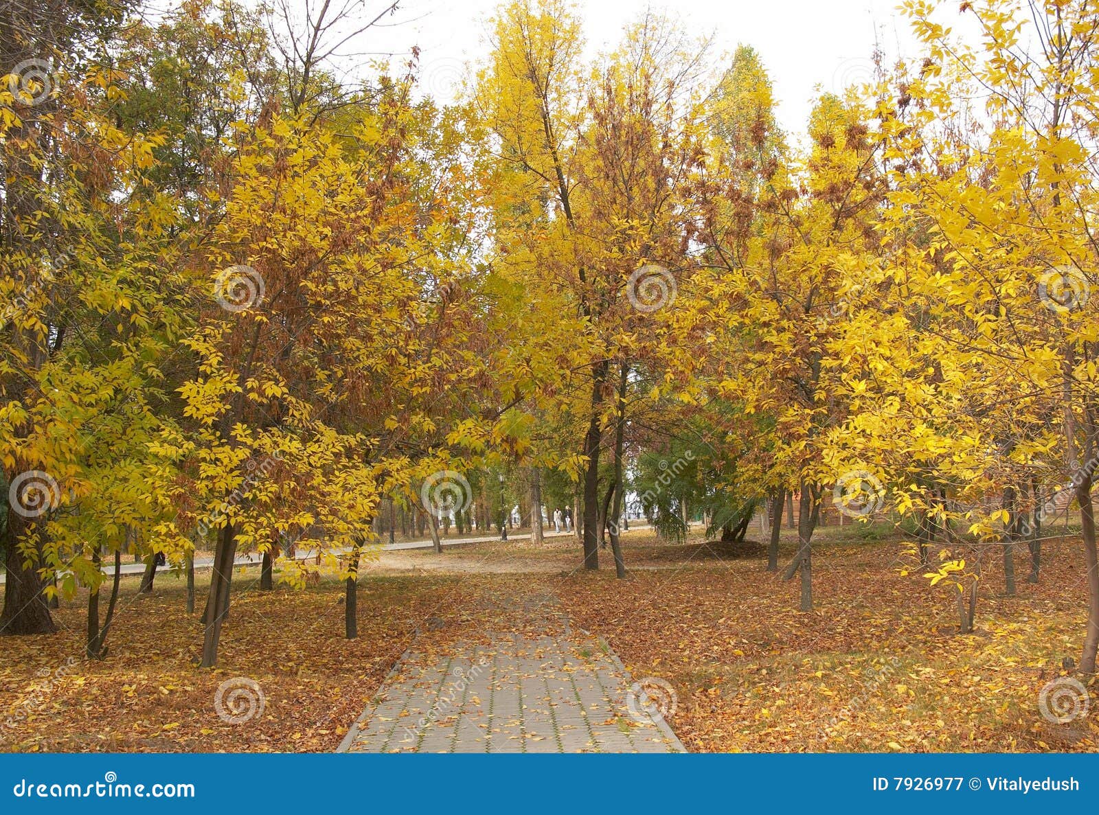 Autumn Weather in Small Russia Town Stock Image - Image of landscape ...