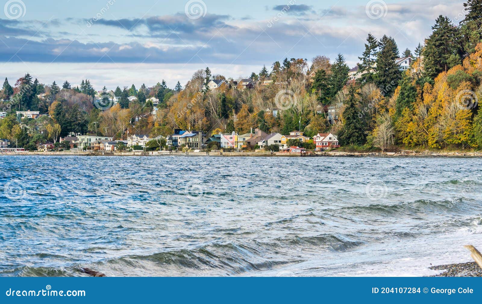Autumn West Seattle Homes 2 Stock Photo - Image of nature, ocean: 204107284