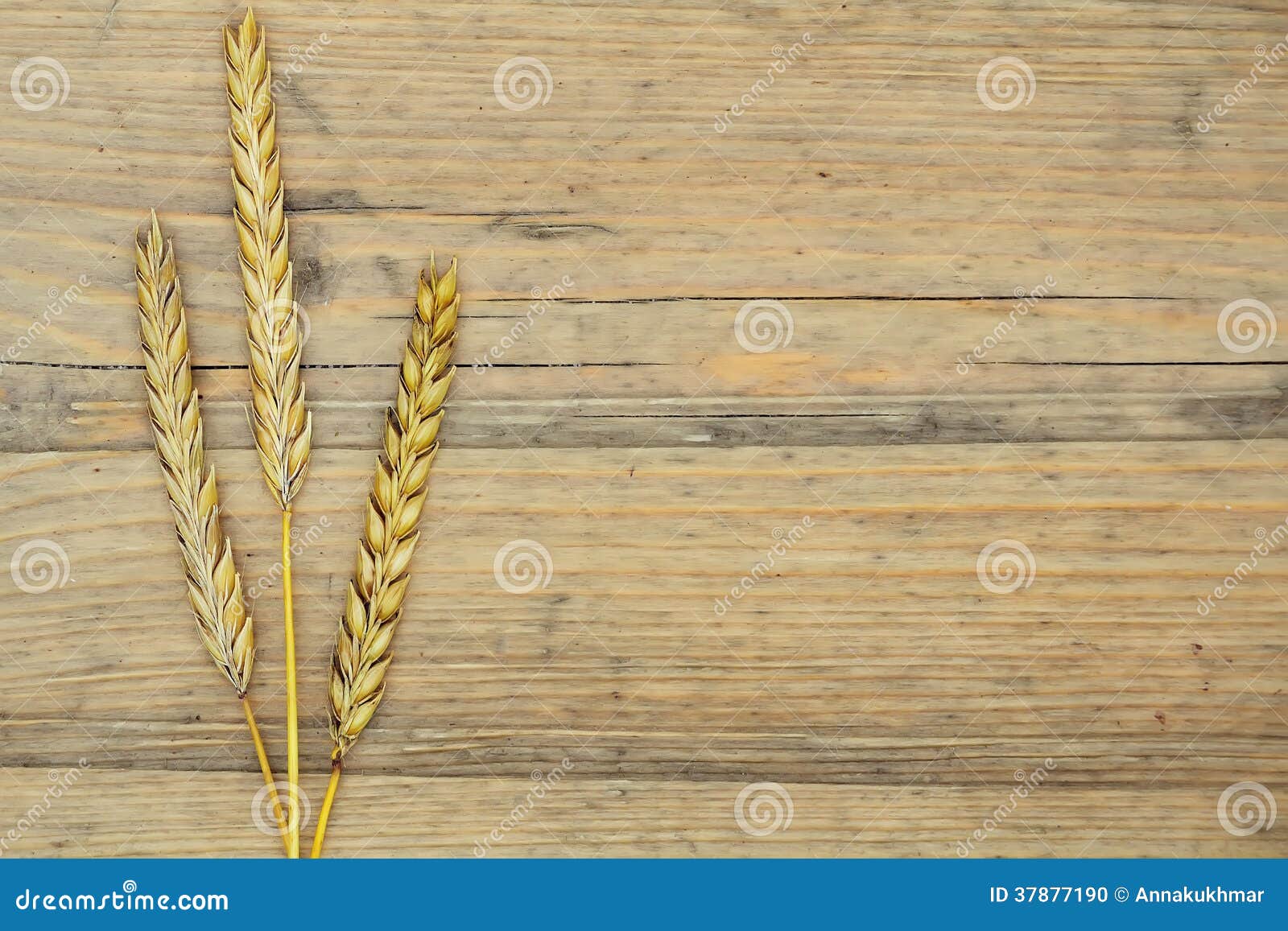 Autumn Wheat on Old Wood Texture Stock Photo - Image of autumn, mill ...