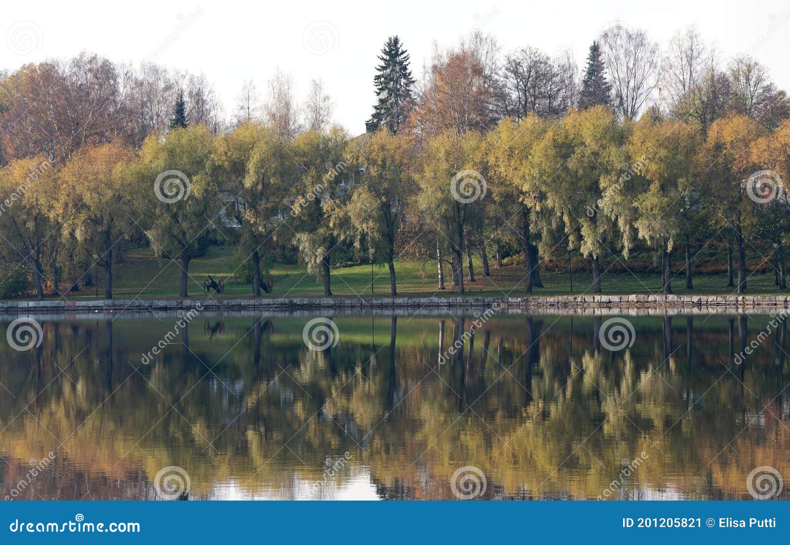 Autumn Willow Trees Reflected in Water Stock Image - Image of ...