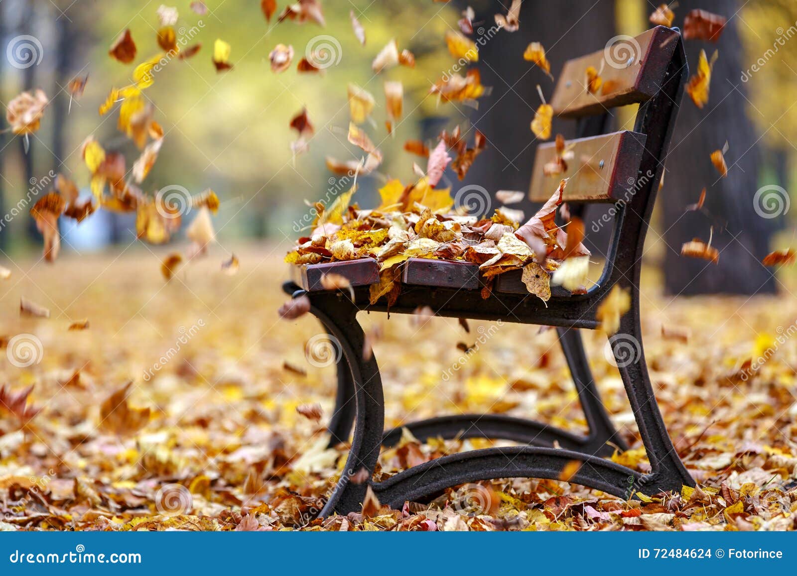 Autumn wind in the park stock photo. Image of november - 72484624