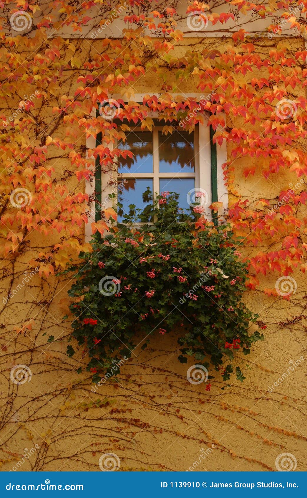 Autumn window stock photo. Image of window, fall, leaves - 1139910