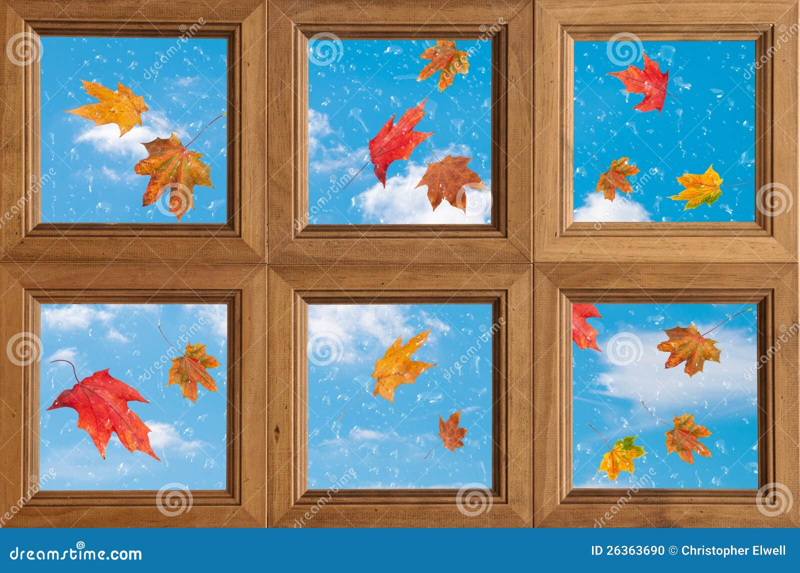 Autumn Window stock photo. Image of falling, window, blue - 26363690