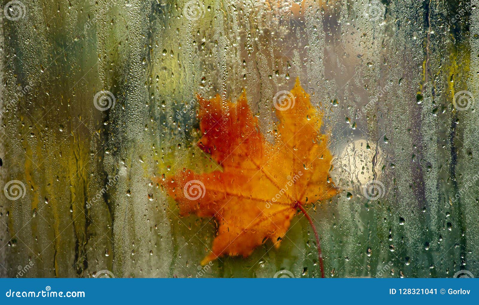 Autumn Window Leaf Rain Drops Stock Image - Image of season, drop ...