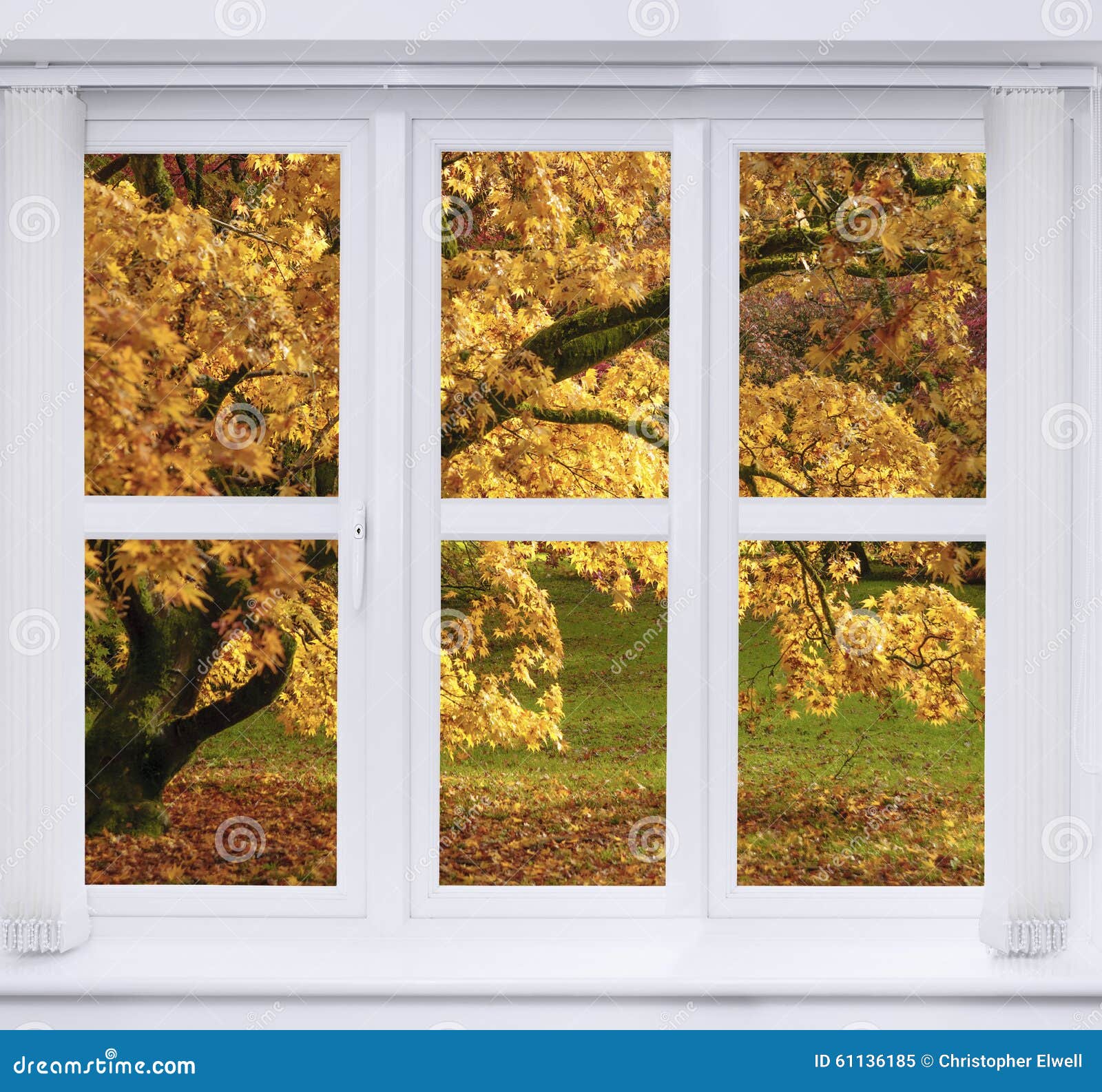 Autumn Window stock image. Image of interior, modern - 61136185