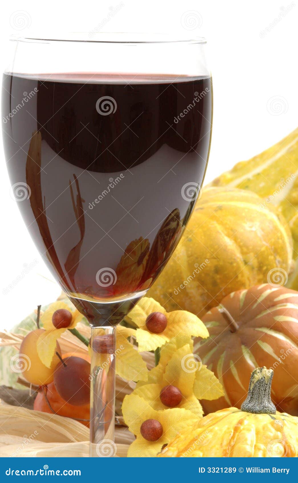 Autumn Wine stock image. Image of plants, festive, drink - 3321289