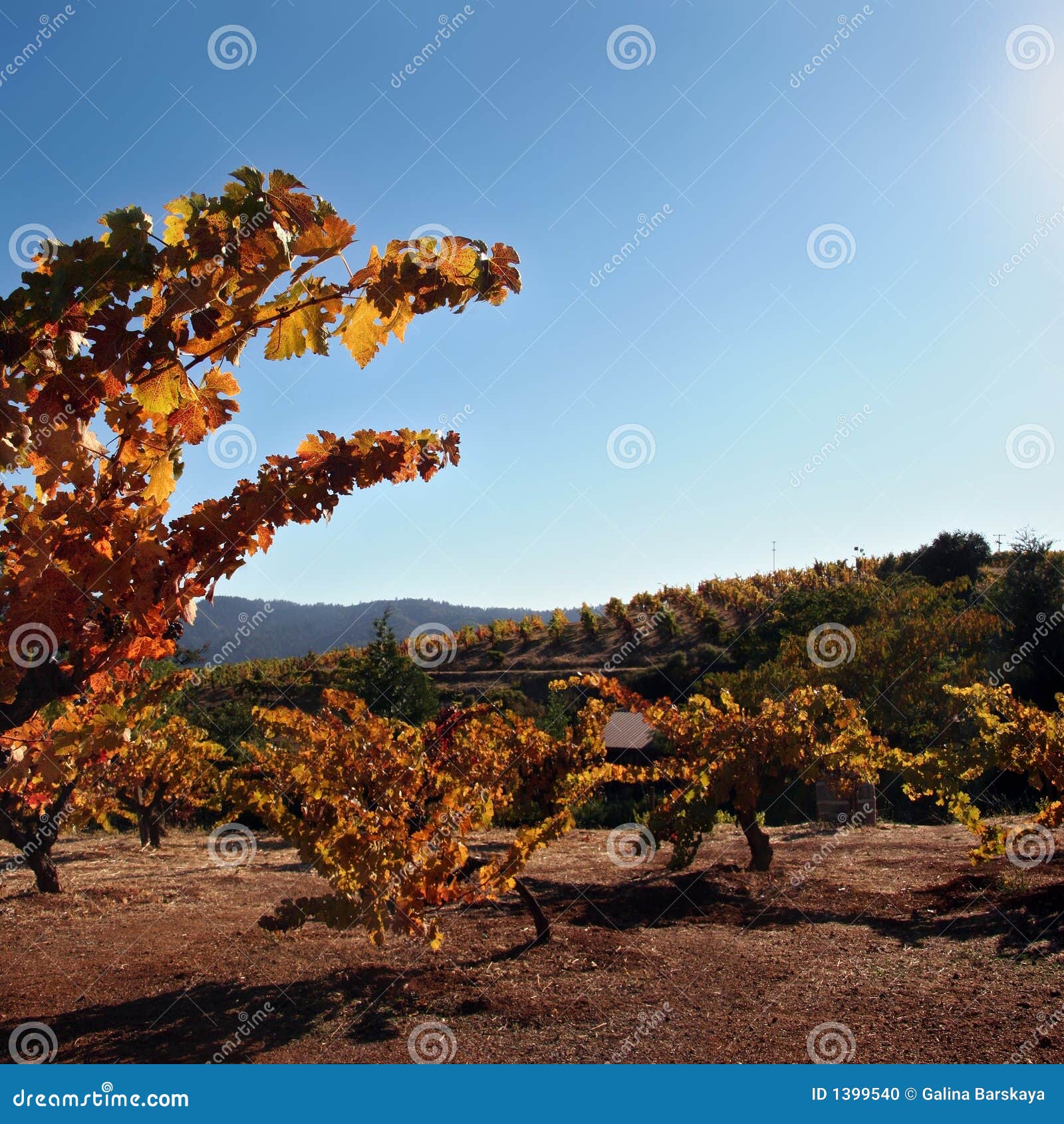 Autumn winery stock photo. Image of autumn, nature, rural - 1399540