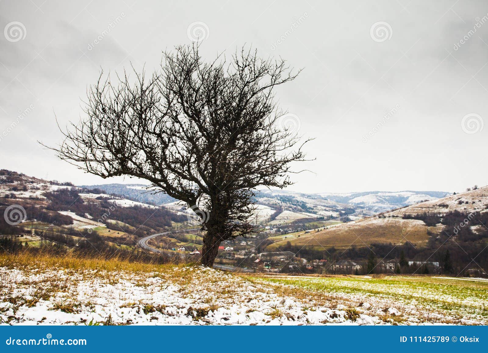 Autumn and winter stock image. Image of country, field - 111425789