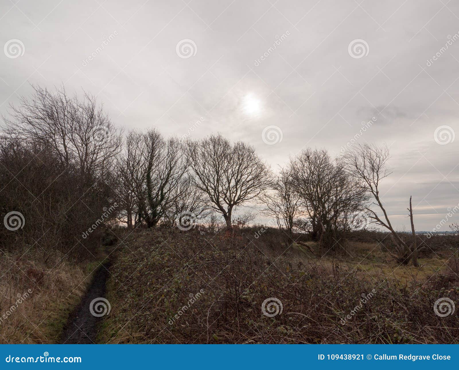 Autumn Winter Dead Grass Field Sunset Grey Overcast Sky Stock Image Image Of Landscape Grass