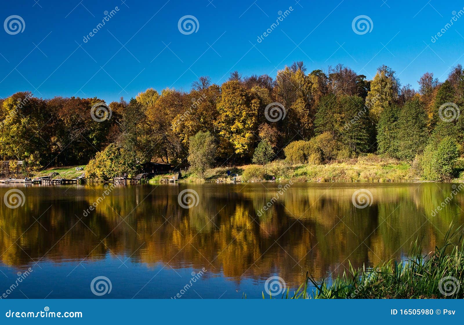 Autumn wood reflection stock photo. Image of foliage - 16505980