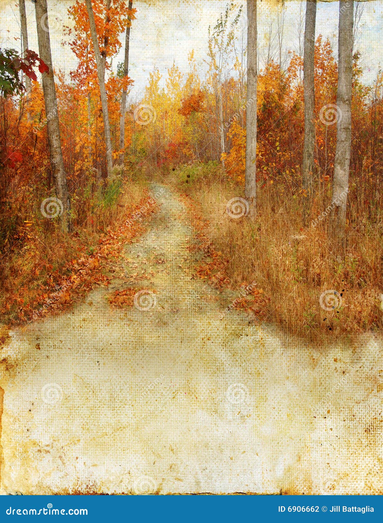 Autumn Woods Trail on Grunge Background Stock Photo - Image of autumn ...
