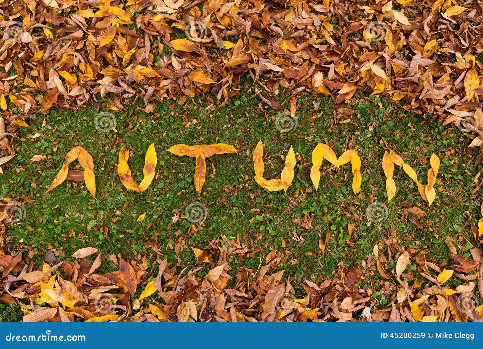 Autumn Stock Photo - Image: 45200259