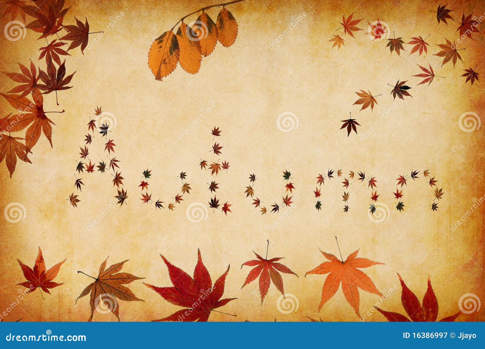 Autumn written by leaves stock illustration. Illustration of conceptual ...