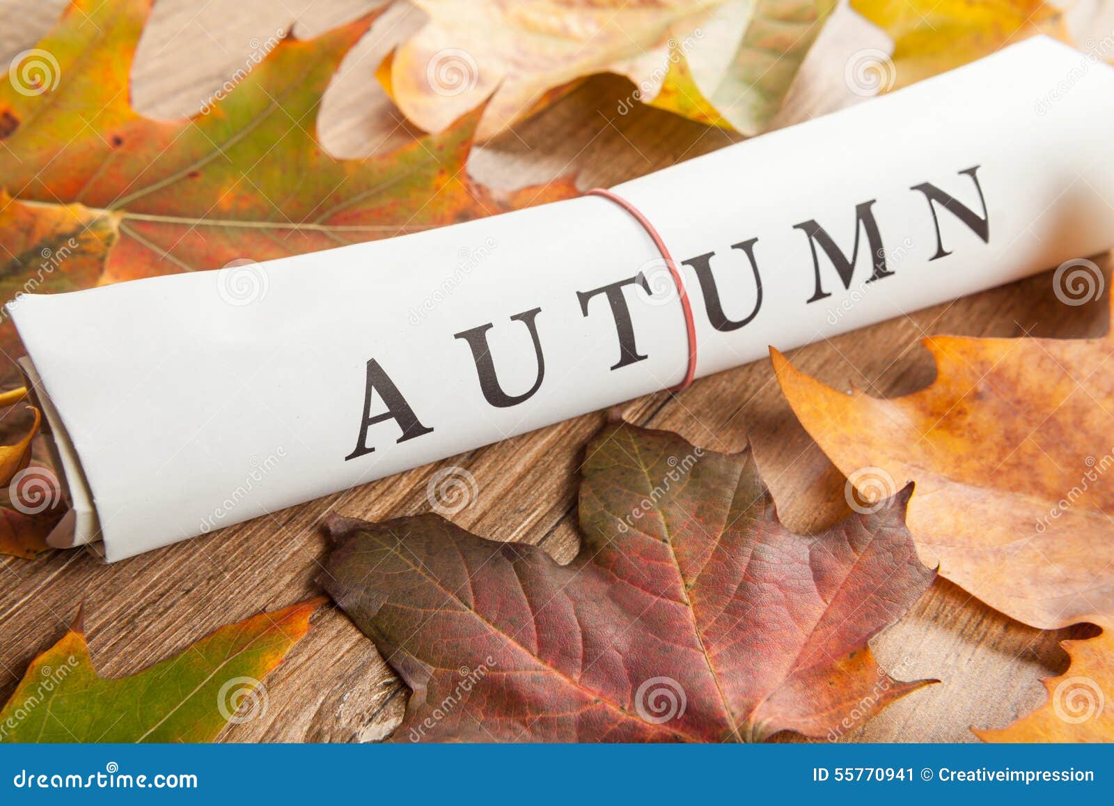 Autumn Written on Newspaper Stock Image - Image of path, color: 55770941