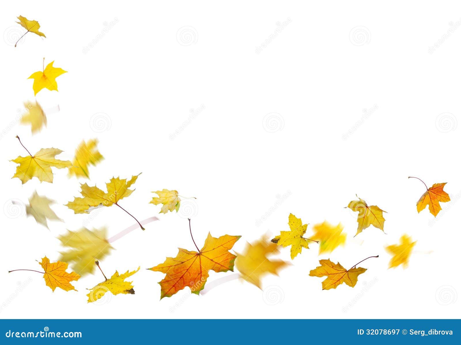 Autumn Yellow Leaves Falling Stock Image - Image of flying, isolated ...