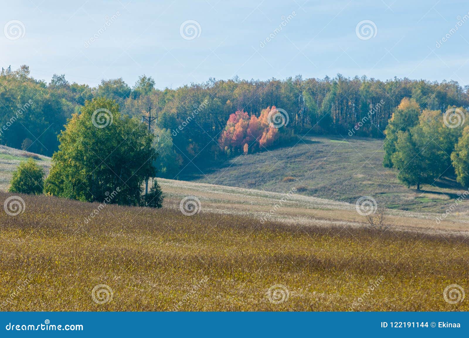 Autumn Yellow Trees Foothills Stock Photo - Image of karachay, arkhyz ...