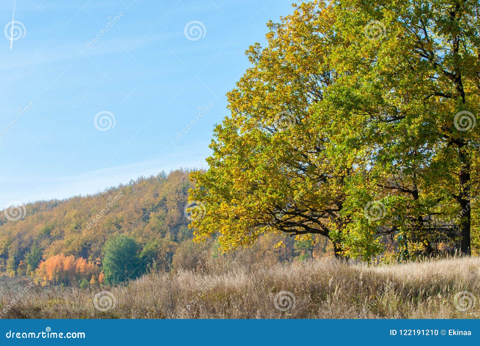 Autumn Yellow Trees Foothills Stock Photo - Image of hill, arkhyz ...