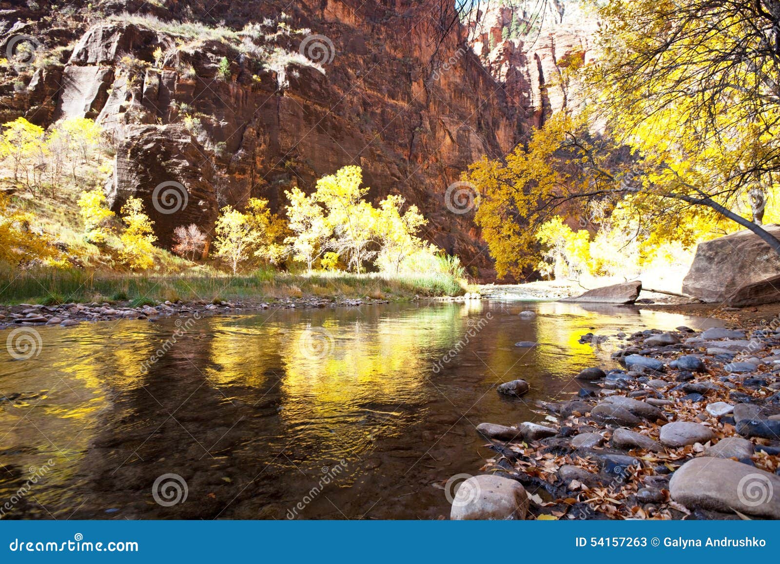 Autumn in Zion stock image. Image of foliage, october - 54157263