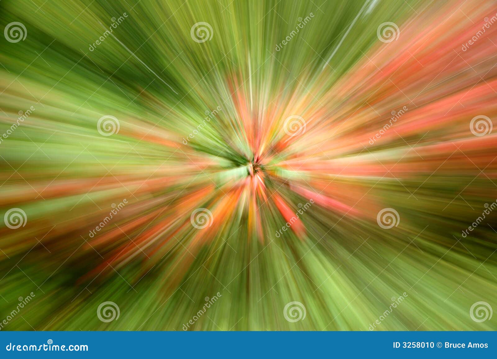 Autumn zoom abstract stock photo. Image of cool, bush - 3258010