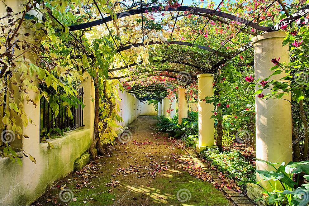 Autumnal Arch Covered by Vine Stock Image - Image of arch, farm: 6437135