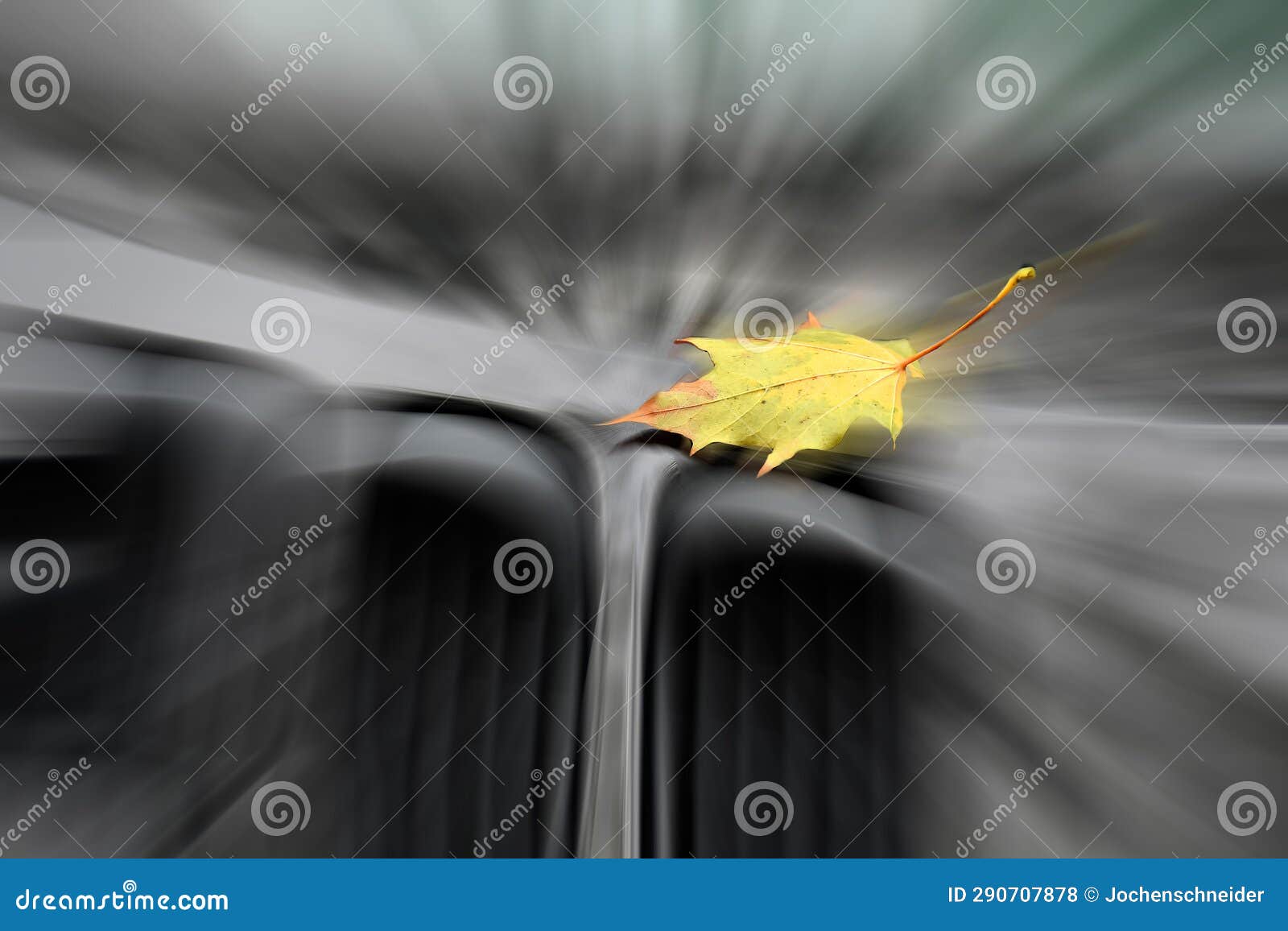 Autumnal Colored Maple Leaf on a Car Engine Hood Stock Photo - Image of ...
