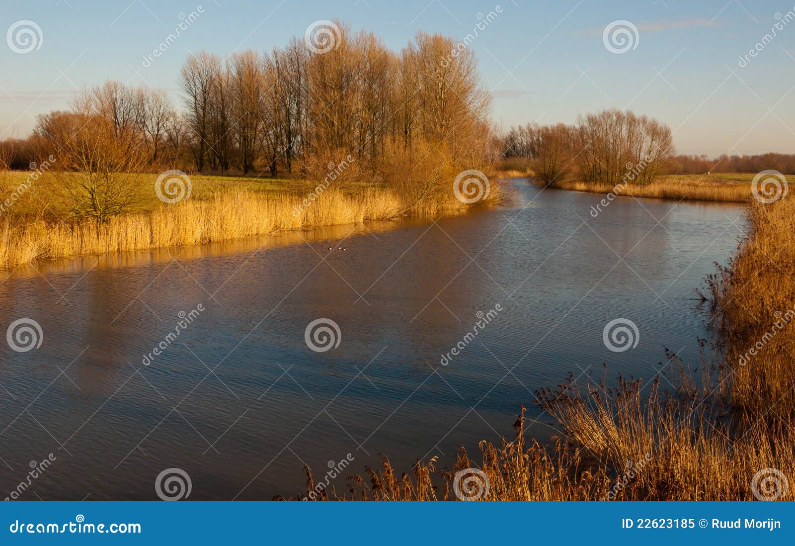 Autumnal Colors in a Dutch Landscape Stock Image - Image of nature ...