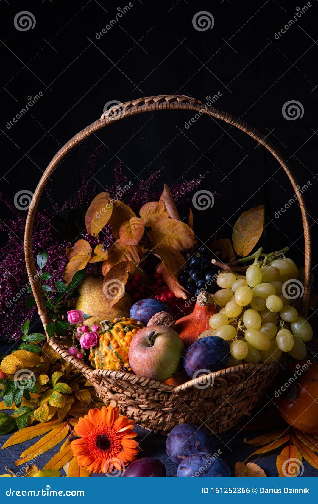 A Autumnal Cornucopia in Round Basket Stock Photo - Image of healthy ...