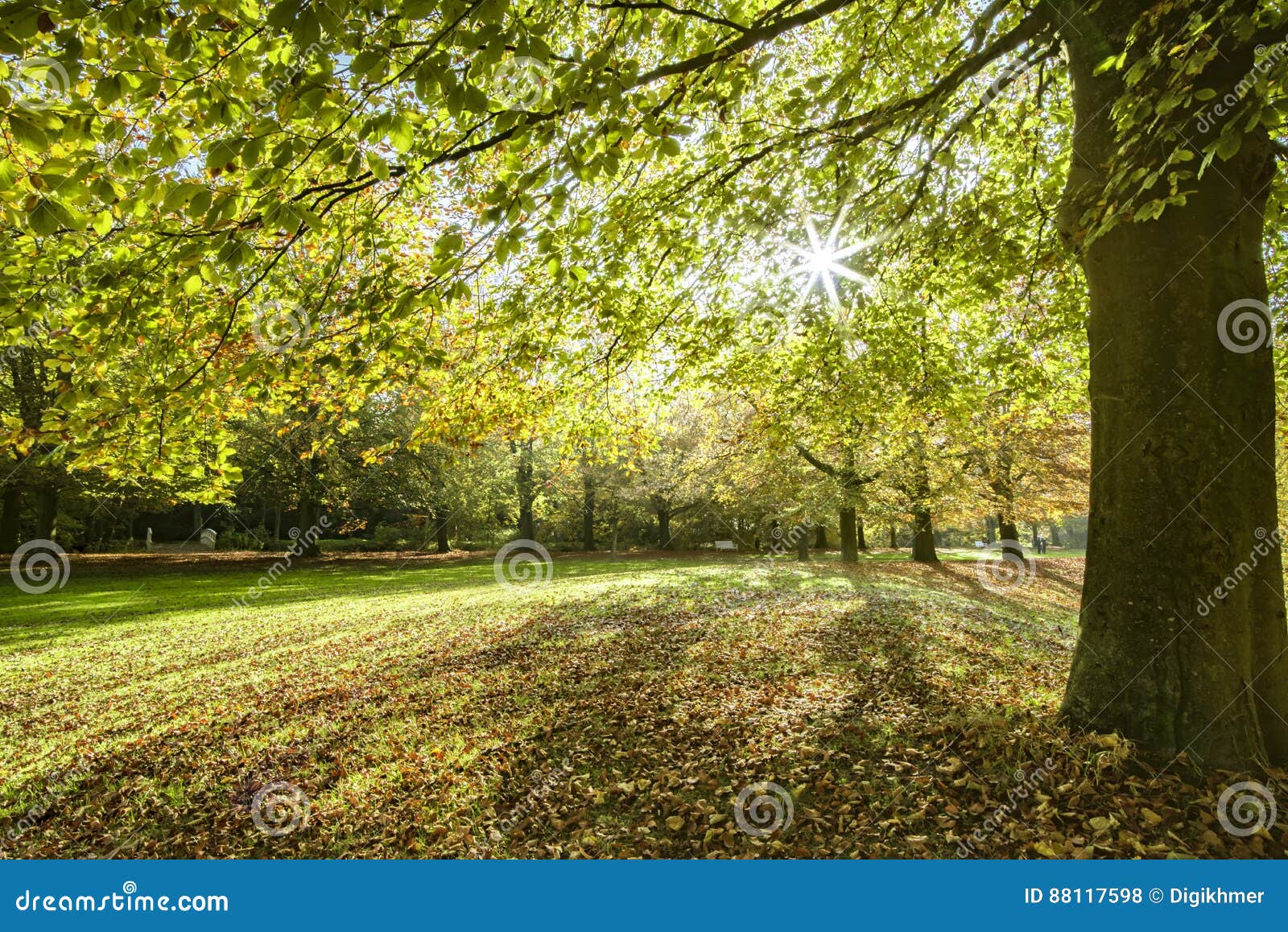 Autumnal evening sun light stock photo. Image of farm - 88117598