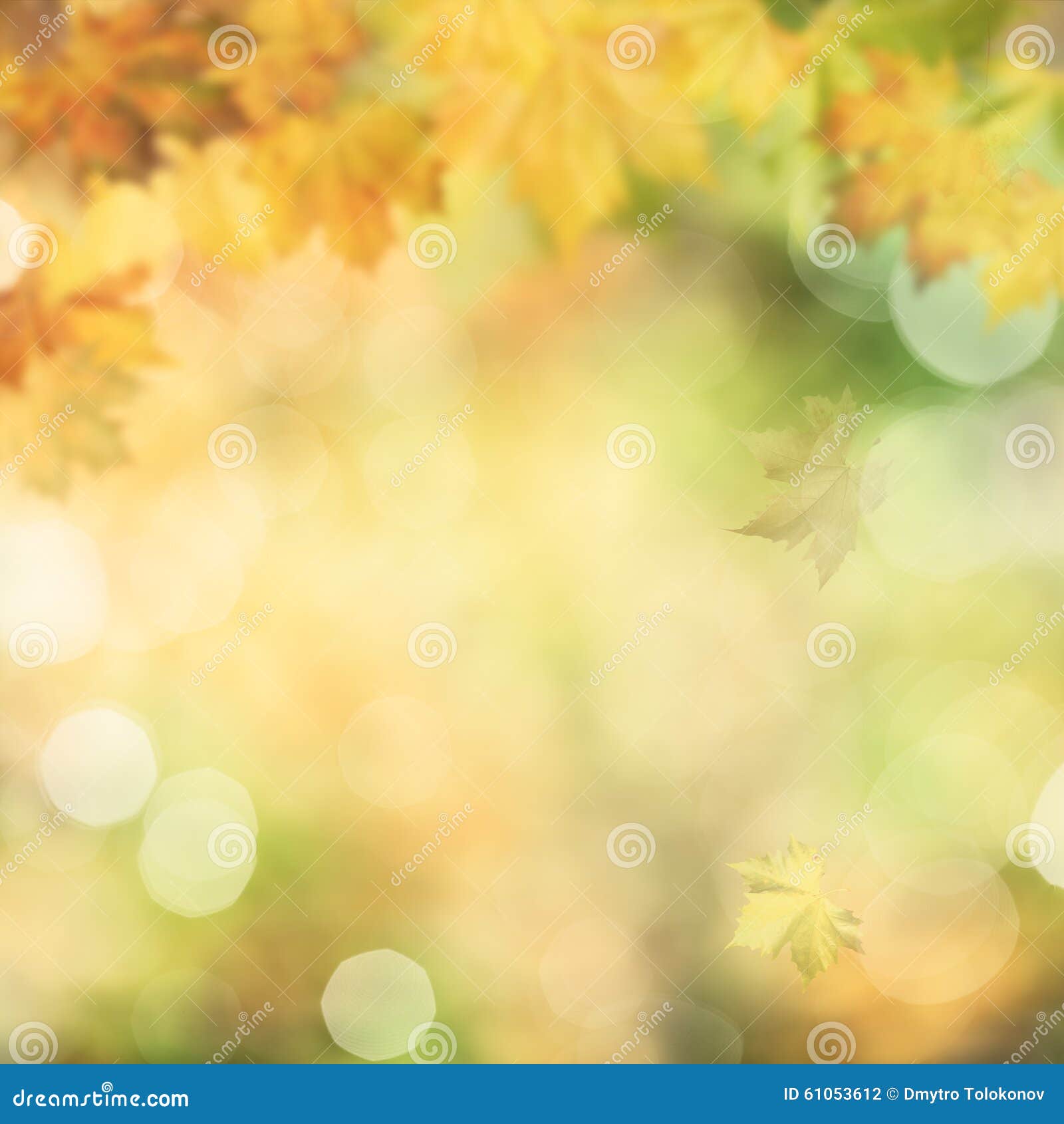 Autumnal fall stock photo. Image of leaf, environmental - 61053612