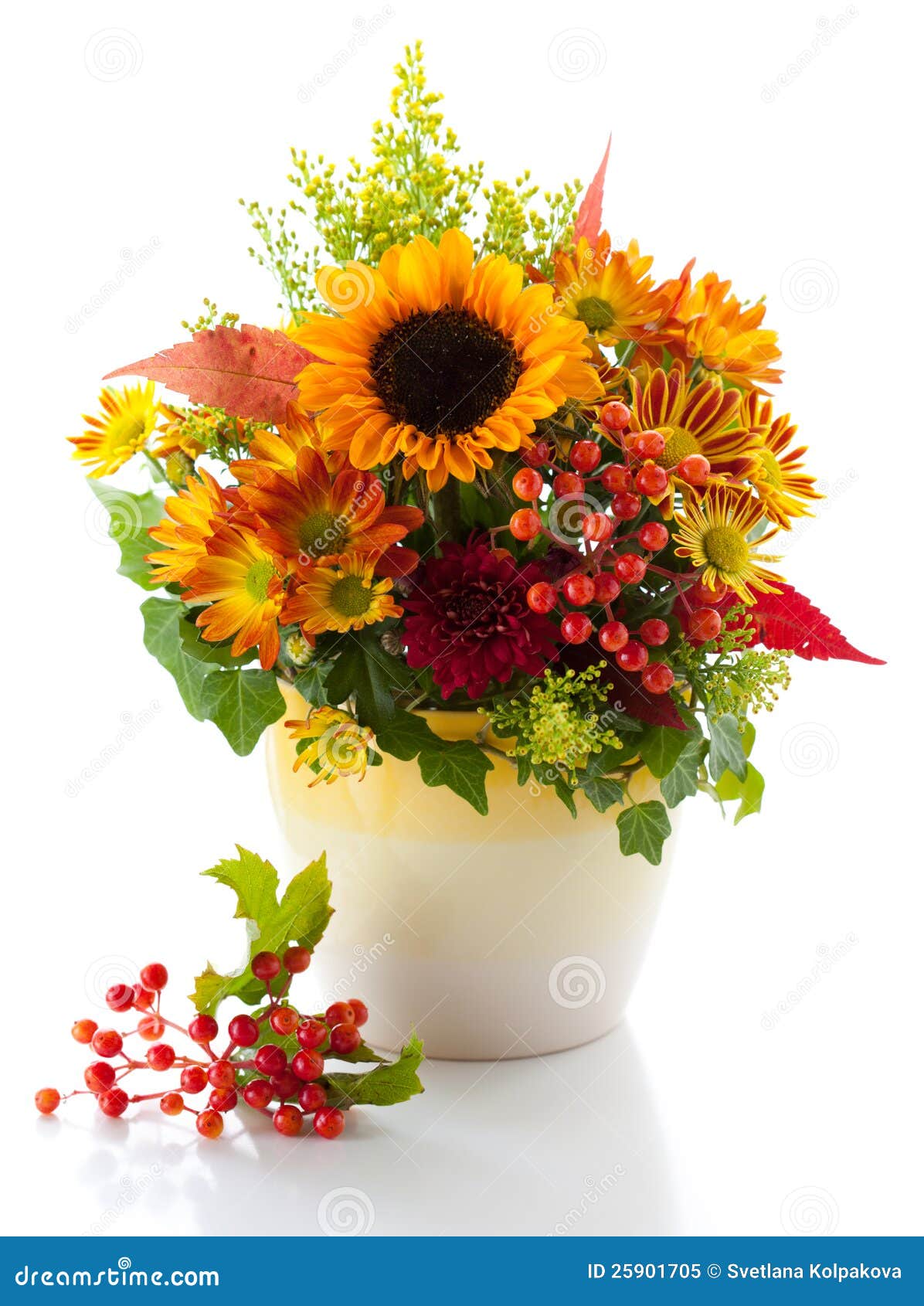 Autumnal flowers stock image. Image of bunch, nature - 25901705