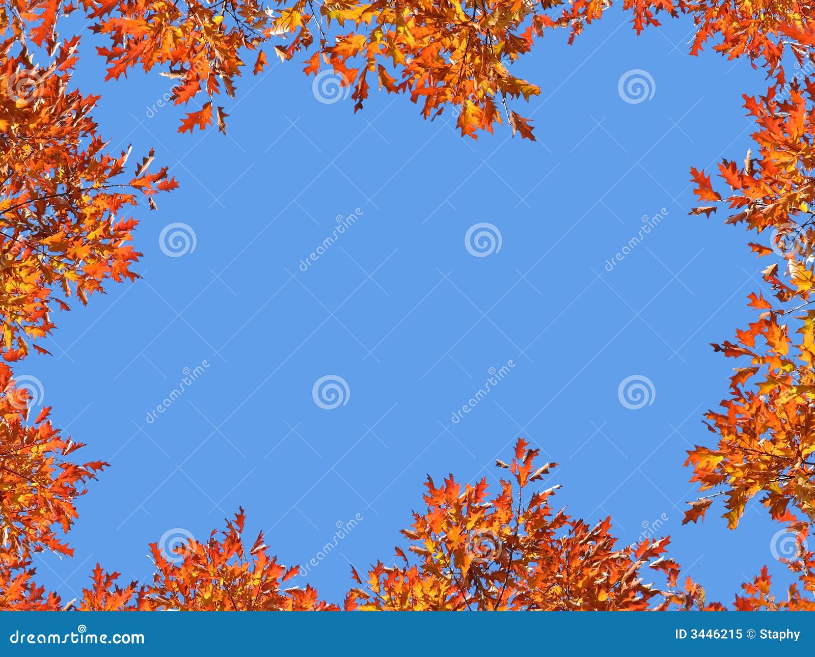 Autumnal frame stock image. Image of decorative, autumnal - 3446215